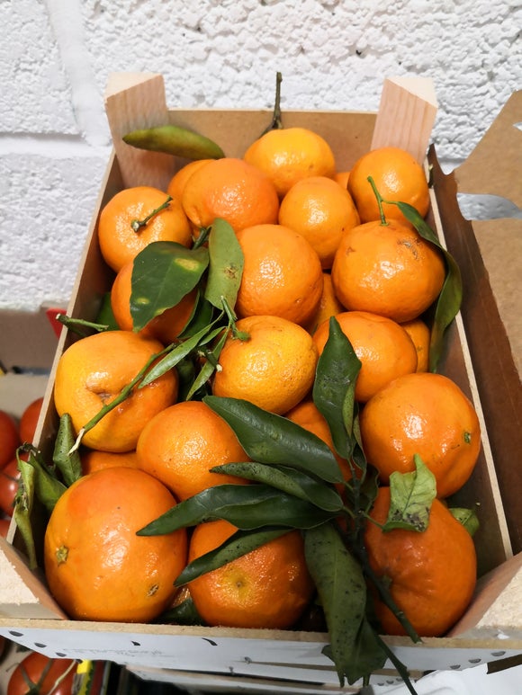 Fresh Mandarin Orange 新鲜福橘 盒 - Shop Oriental Online Supermarket