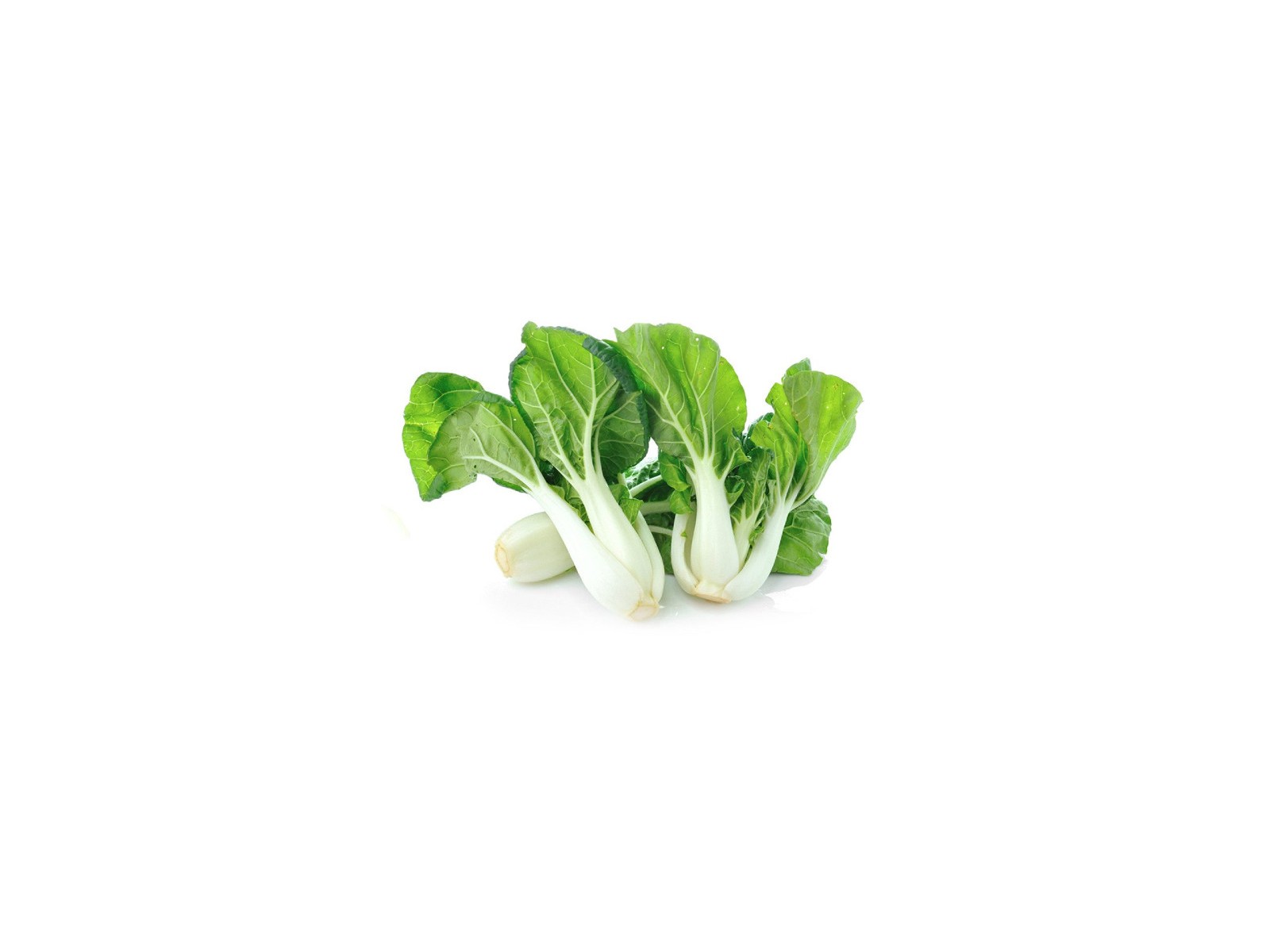 Ba Choi 小白菜 1000g - Shop Oriental Online Supermarket